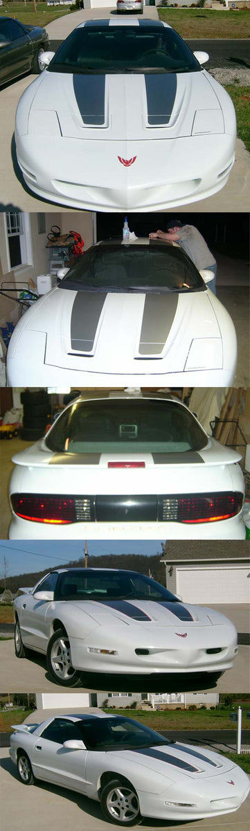Custom - 1993-1997 Firebird Racing Stripes – iCutDecals
